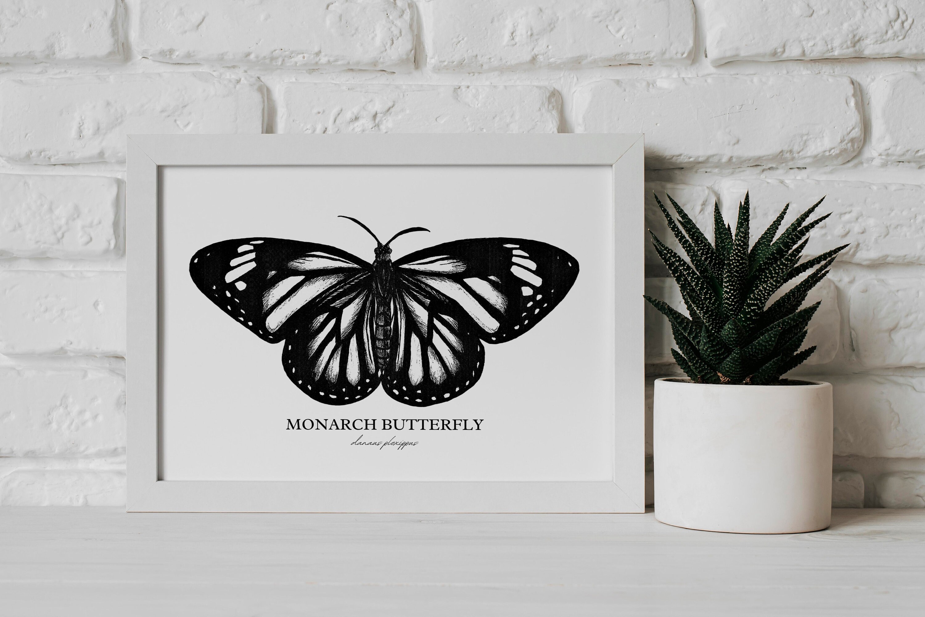 Monarch Butterfly Etching - High Quality ART PRINT - by Carson ...