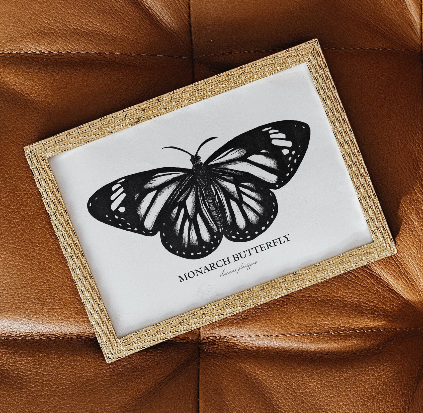 Monarch Butterfly Etching - High Quality ART PRINT - by Carson ...