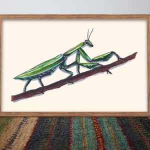 European Mantis Watercolor Painting - High Quality ART PRINT - by ...