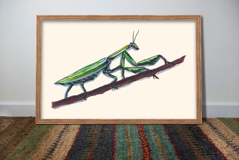 European Mantis Watercolor Painting - High Quality ART PRINT - by ...