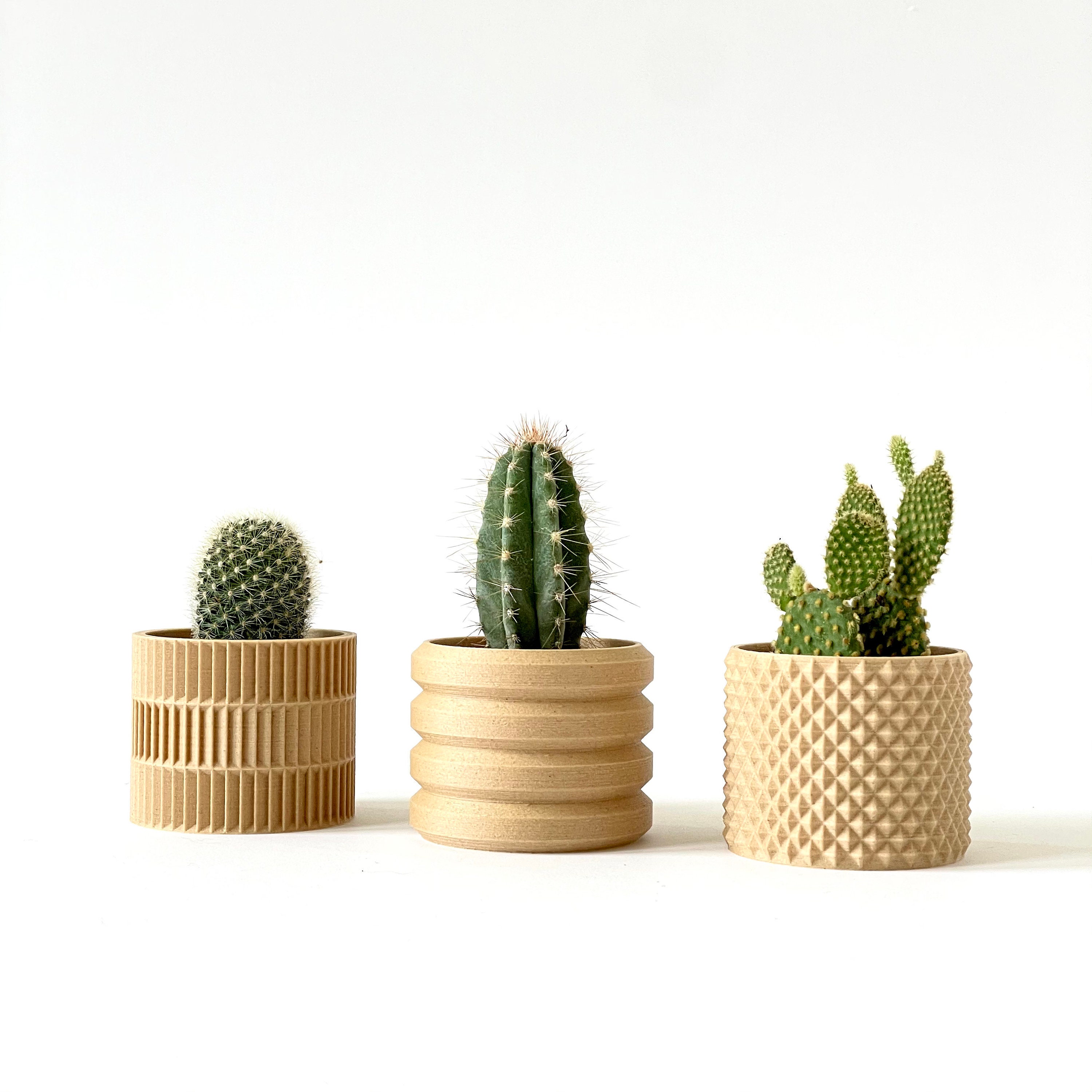 Set of Three Small Indoor Planters for Cacti and Succulents - Etsy