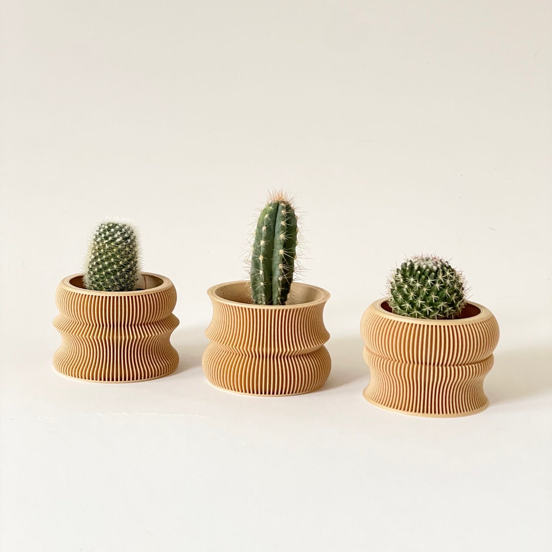 Set of Three Small Indoor Planters for Succulents "woodturn" - Etsy