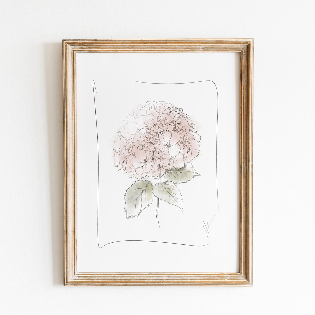 Minimalist Pink Hydrangea Art Print – Blush Botanical Flower Sketch ...