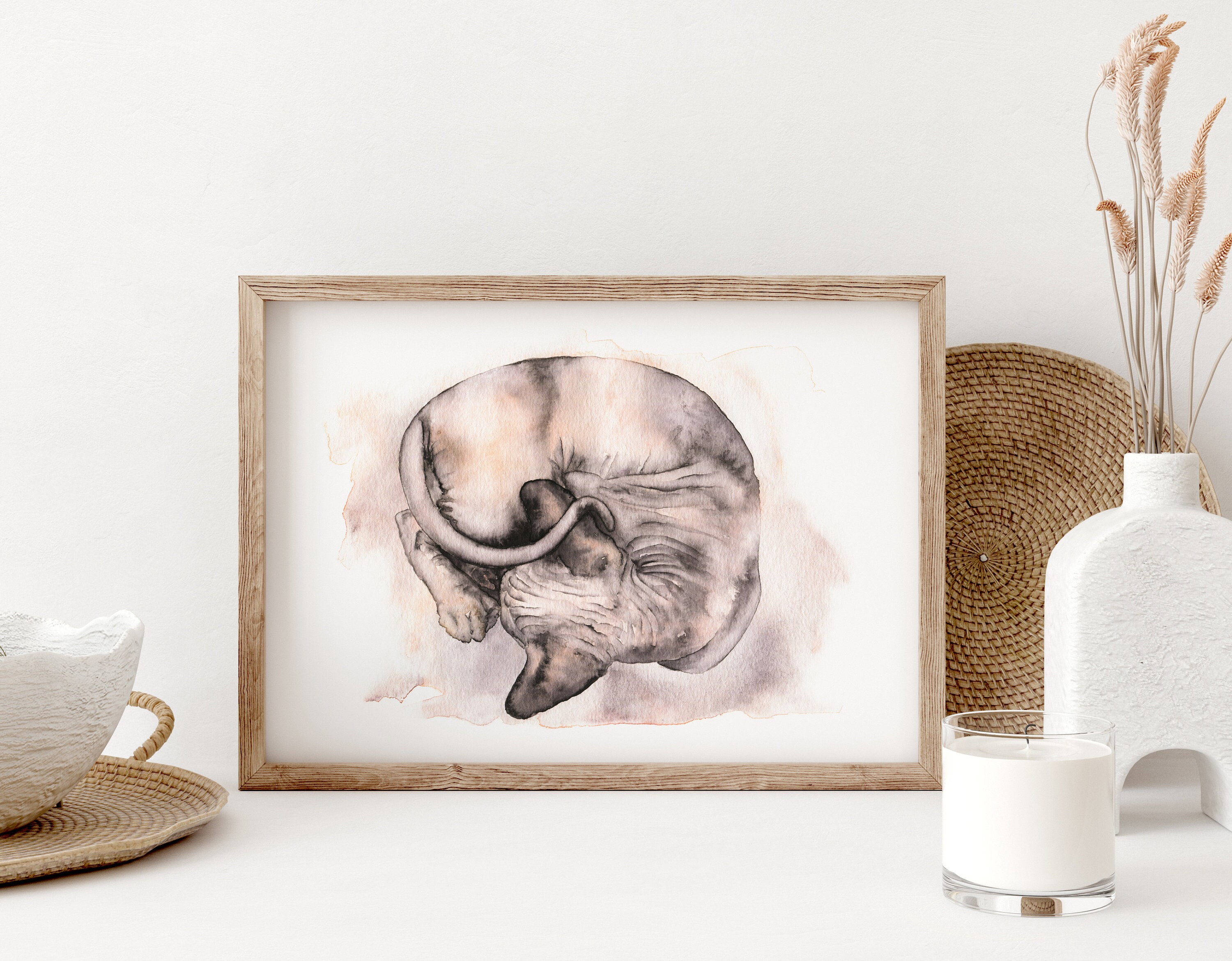 Sphynx Cat Art Print Sleeping Cat Painting Minimalist Cat Art - Etsy