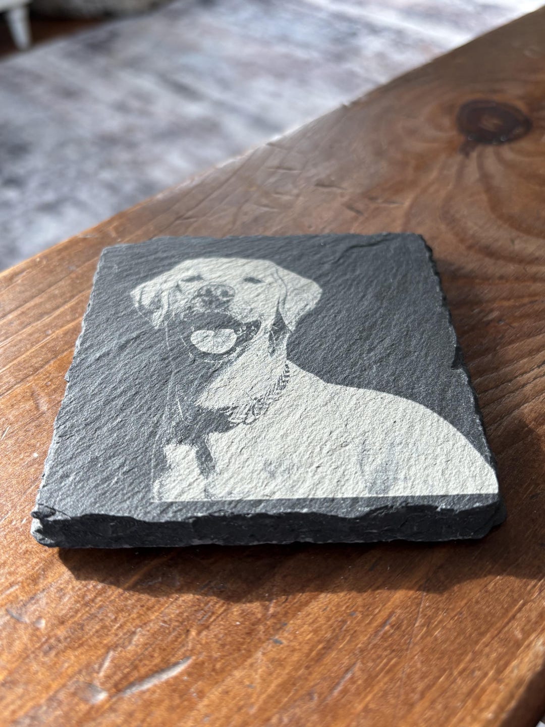Personalized Pet Slate Coaster - Etsy