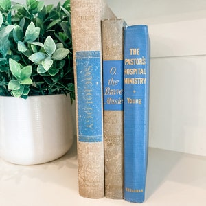 Blue Book Stack for Your Home Decor - Use Vintage Books as a Decorative ...