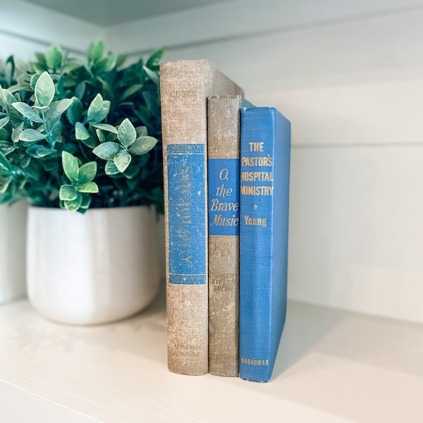 Blue Book Stack - Etsy