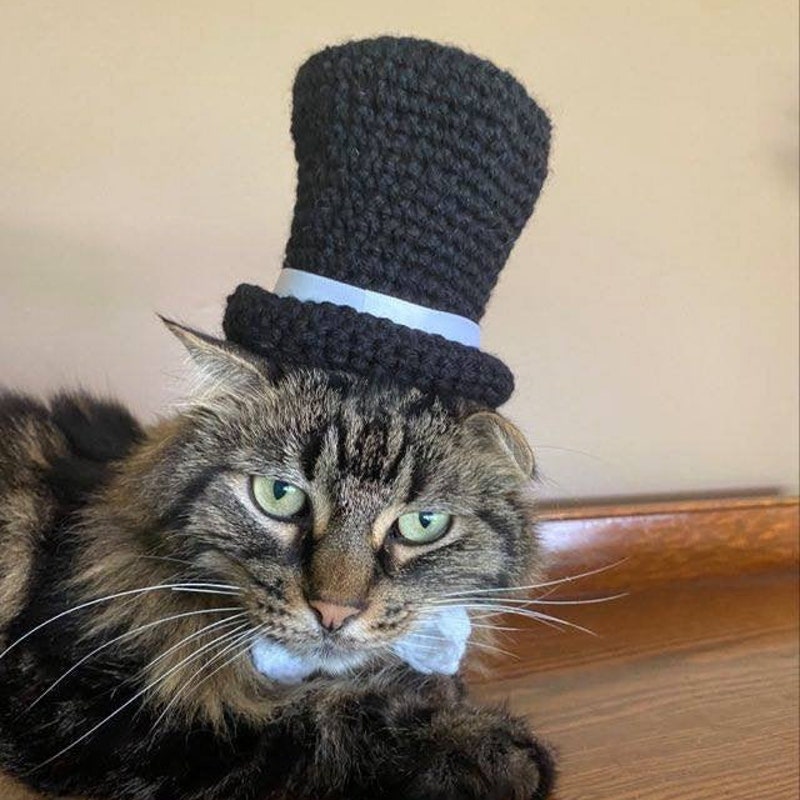 Cat Top Hat - Etsy