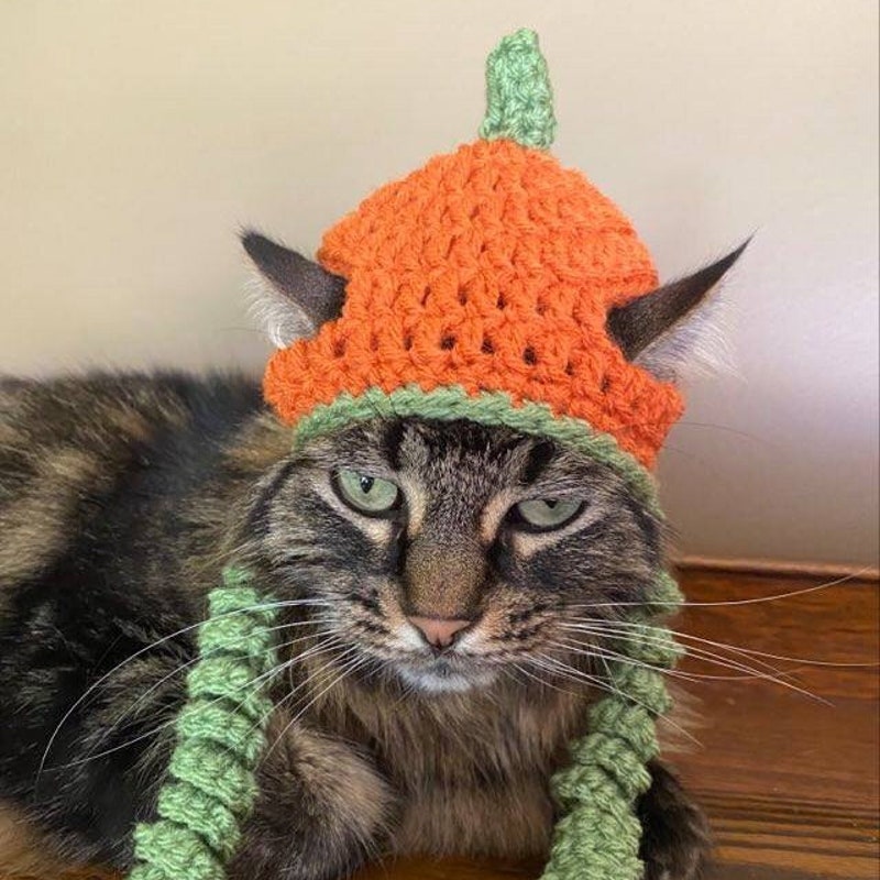 Orange Cat Costume - Etsy