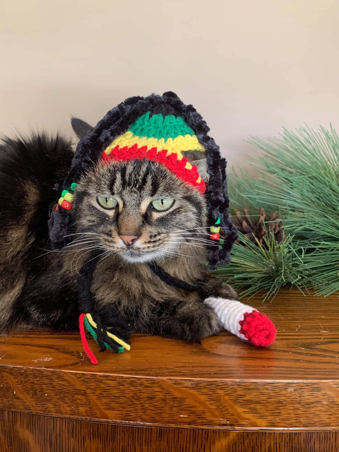 Rasta Hat Rastafarian Jamaican Hats for Cats Cat Costumes | Etsy