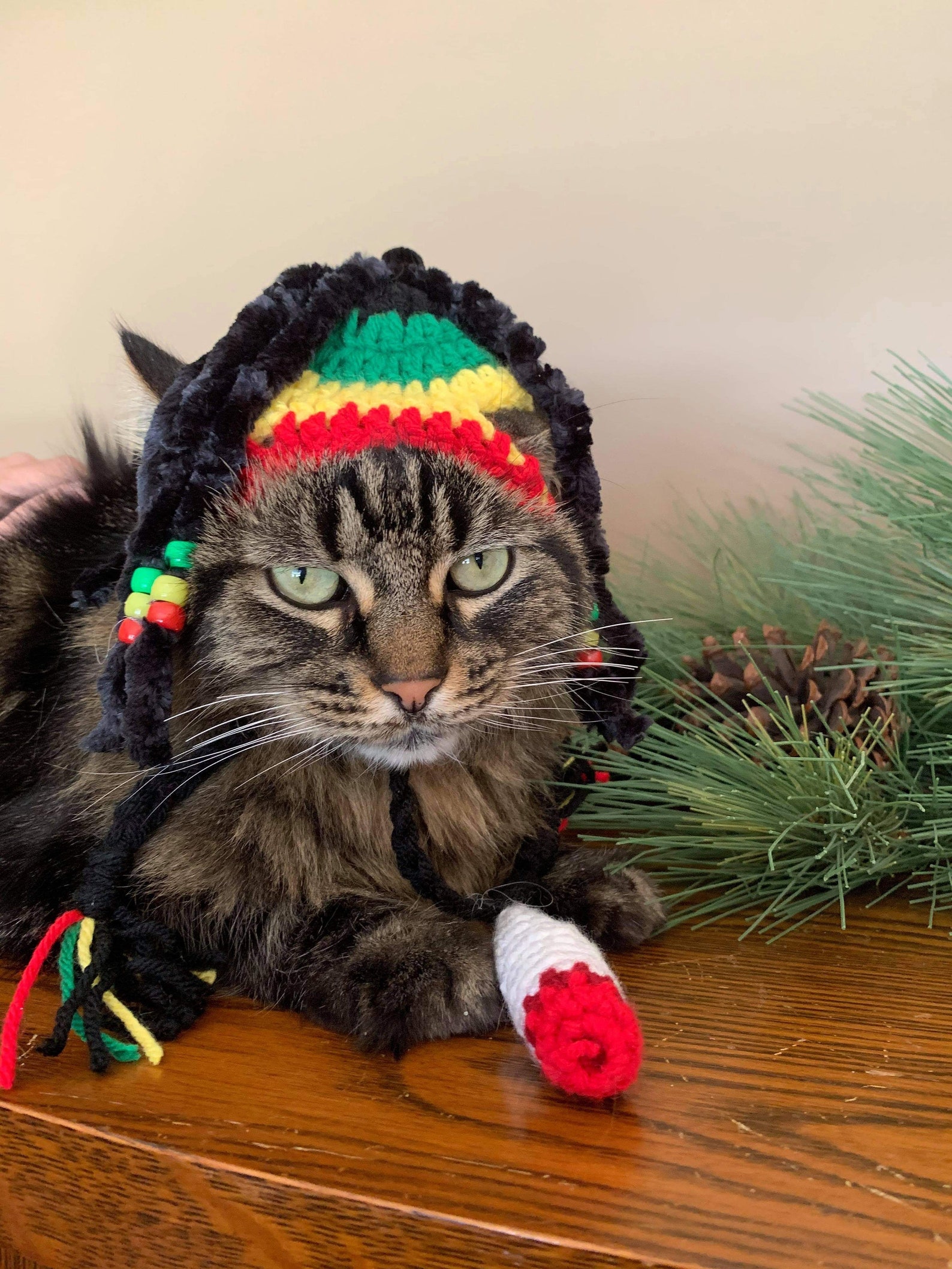 Rasta Hat, Rastafarian, Jamaican, Hats for Cats, Cat Costumes, Pet ...