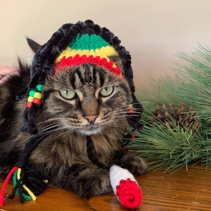 Rasta Hat, Rastafarian, Jamaican, Hats for Cats, Cat Costumes, Pet ...