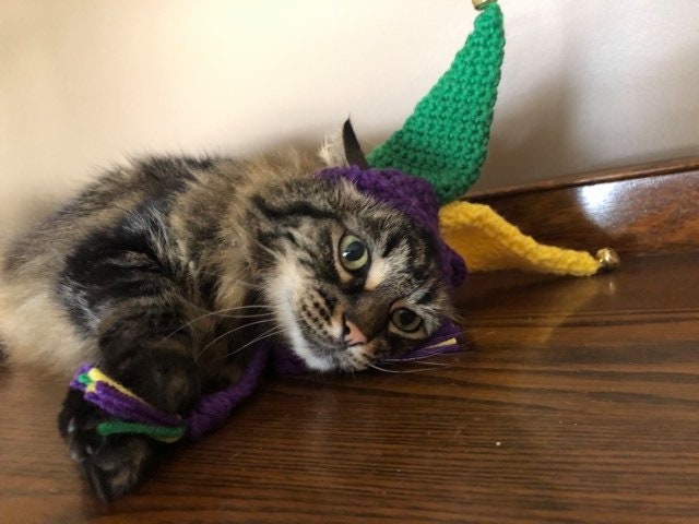 Mardi Gras Court Jester Jester Hats for Cats Cat Costumes - Etsy UK