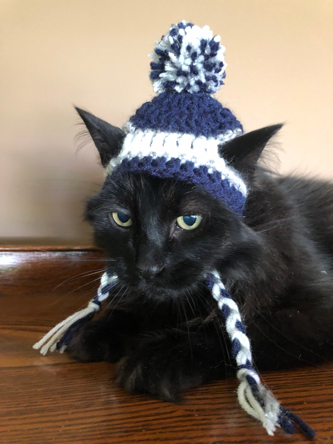 Sports Team Hat, Hats for Cats, Cat Costumes, Pet Costumes, Cat Hat ...