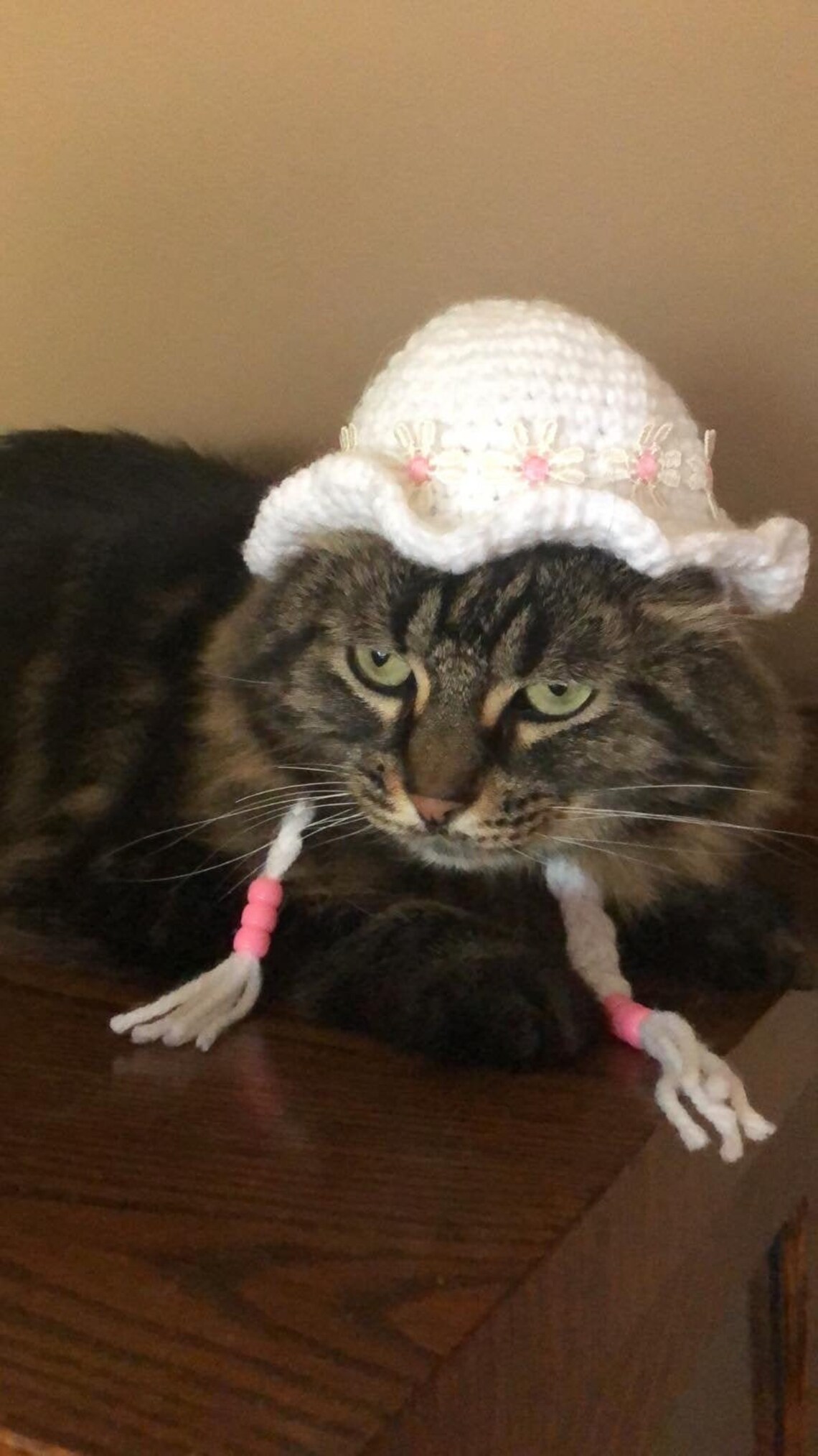 Sun Bonnet Summer Hat Hats for Cats Cat Costumes Pet | Etsy