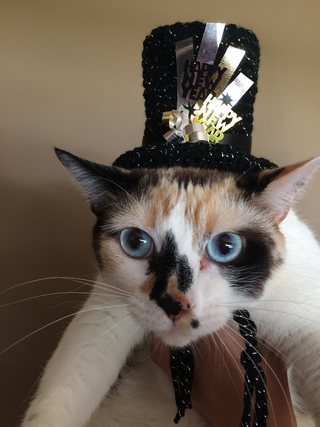 New Years Eve, Hats for Cats, Cat Costumes, Pet Costumes, Cat Hat, Cat ...