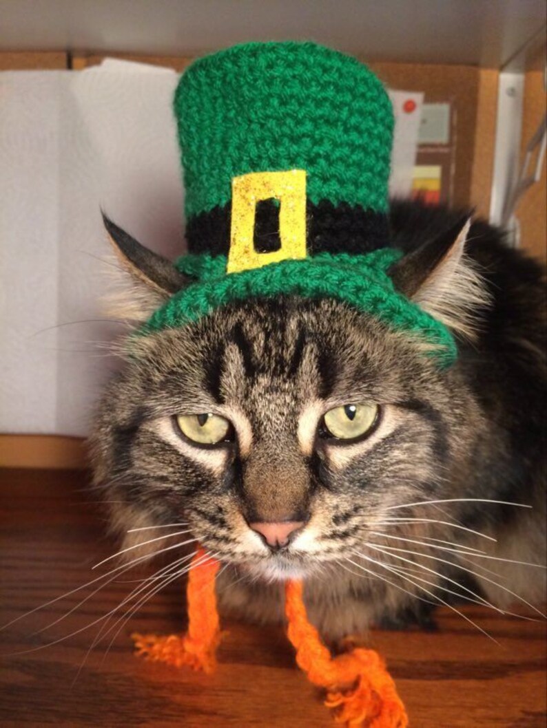 St Patrick's Day, Hats for Cats, Cat Costumes, Cat Hat, Cat Accessories ...