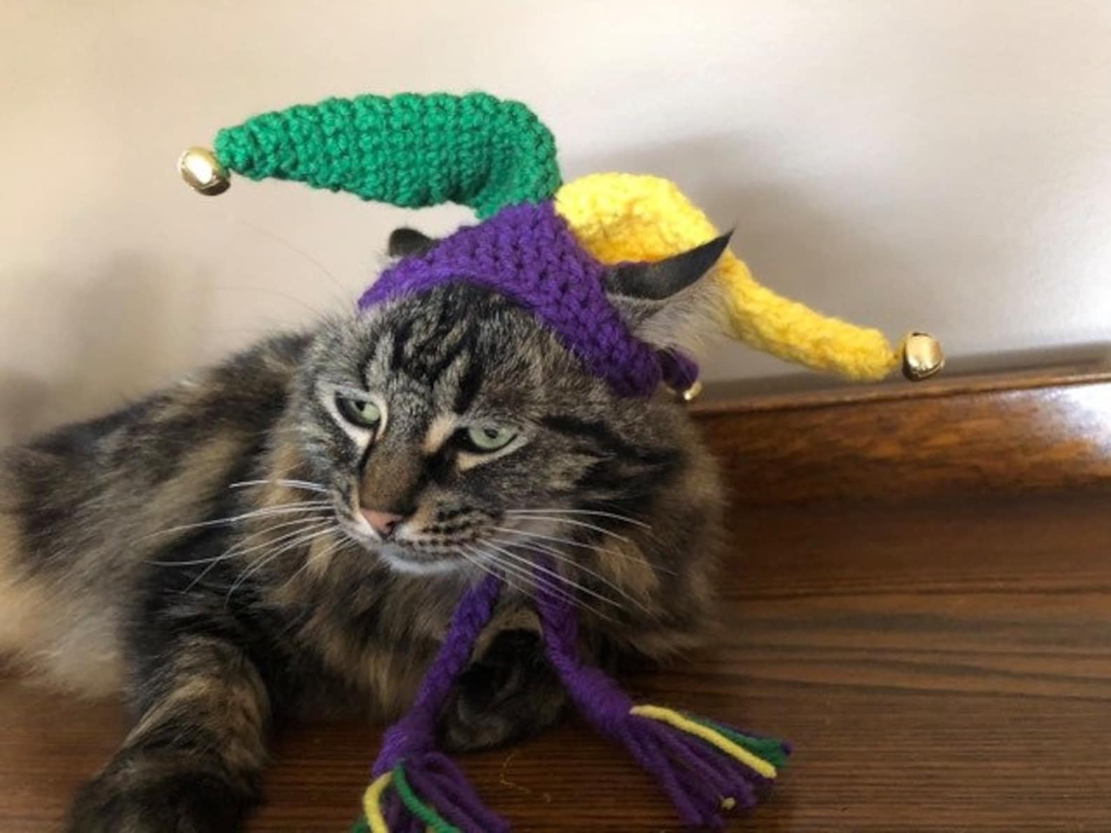 Mardi Gras Court Jester Jester Hats for Cats Cat Costumes - Etsy UK