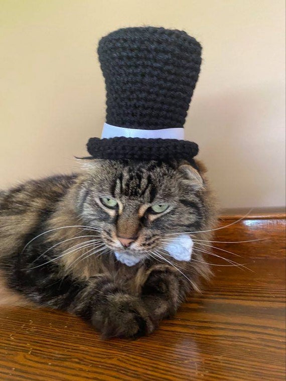 Cats With Top Hats