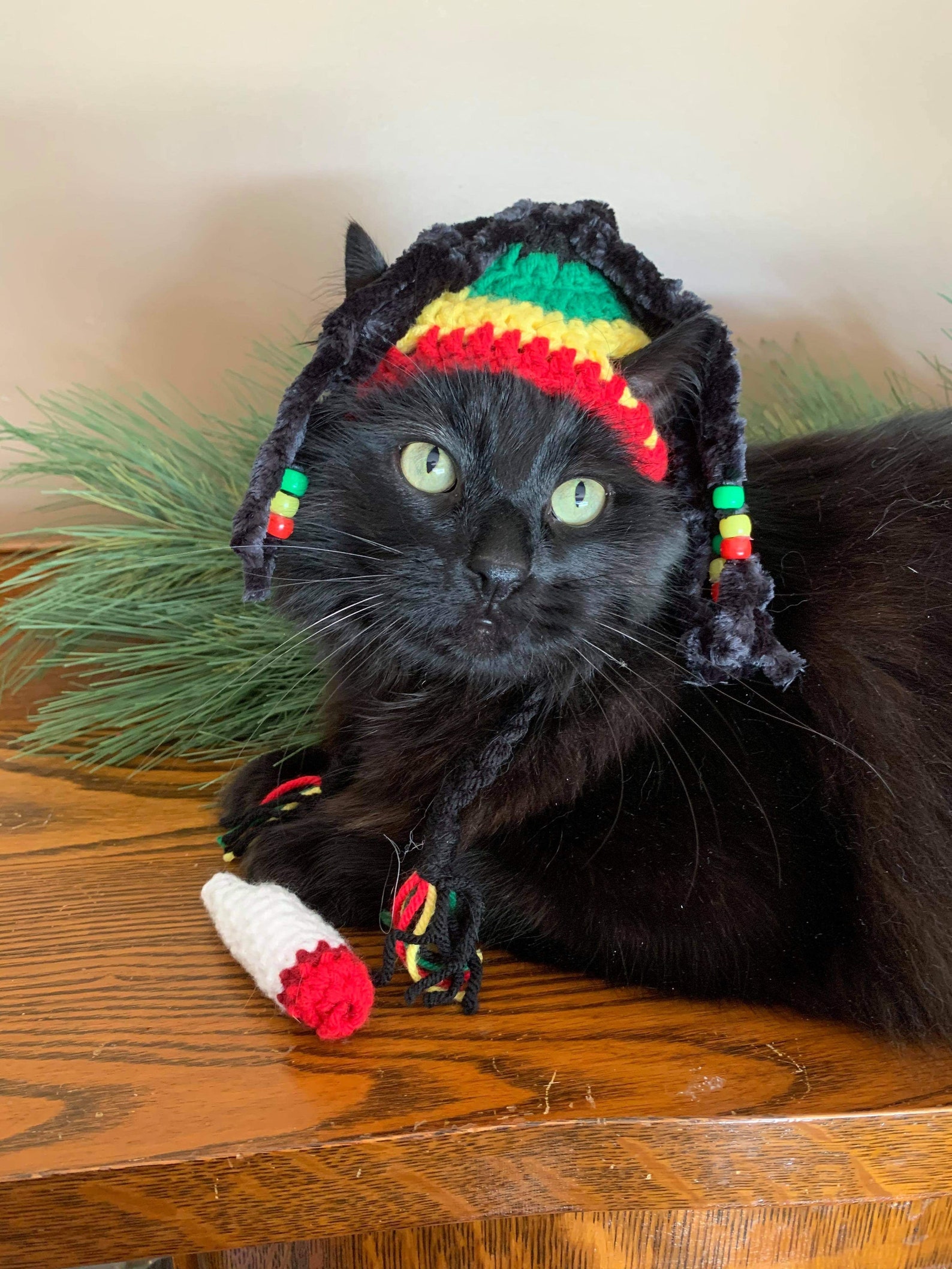 Rasta Hat, Rastafarian, Jamaican, Hats for Cats, Cat Costumes, Pet ...