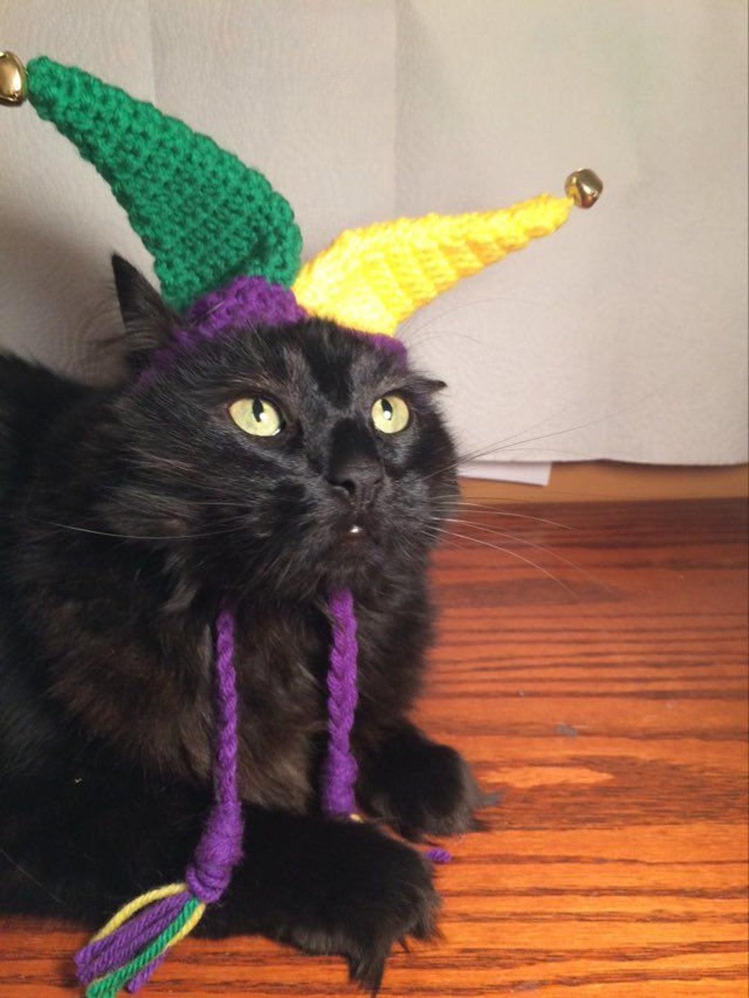 Mardi Gras, Jester, Hats for Cats, Cat Costumes, Pet Costumes, Cat Hat ...