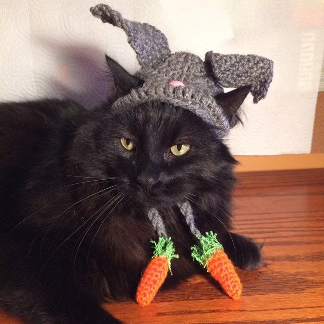 Bunny Hat With Floppy Ears, Easter Bunny, Rabbit Hat, Hats for Cats ...