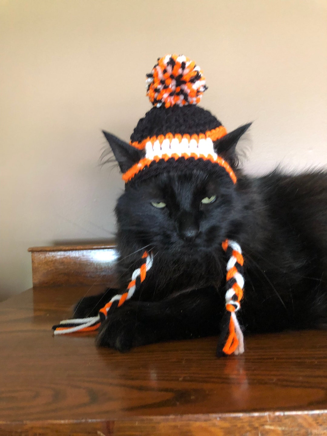 Sports Team Hat, Hats for Cats, Cat Costumes, Pet Costumes, Cat Hat ...