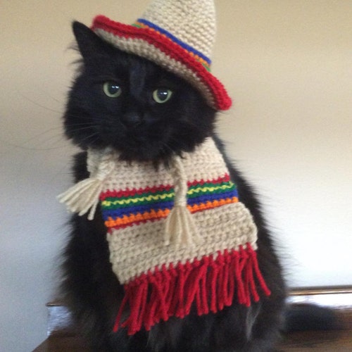 Rasta Hat for Cats | Etsy