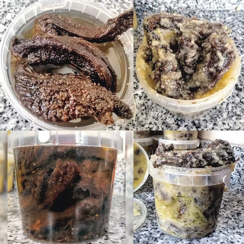 Authentic Moroccan Khlii, Homemade, 100% Halal, Organic - Etsy