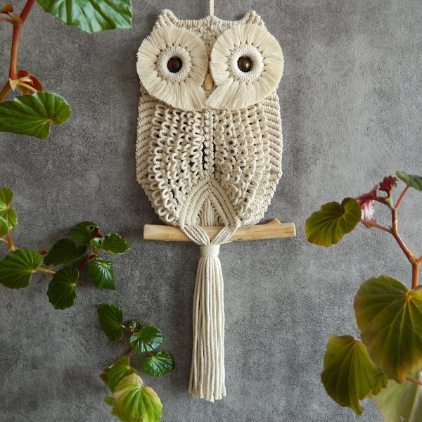 Macrame Owl - Etsy