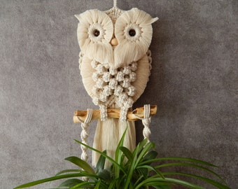 Macrame Plant Hanger Owl - Etsy