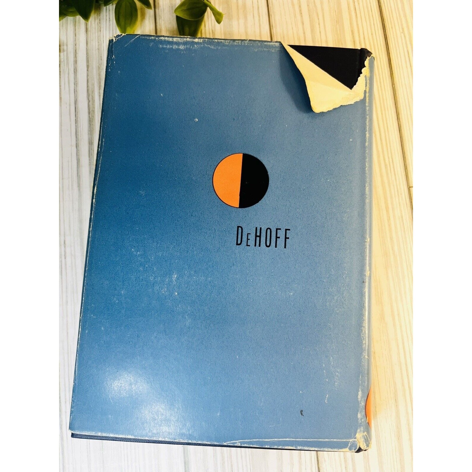 Alleged Bible Contradictions Explained by Dehoff, George W. 1950 - Etsy