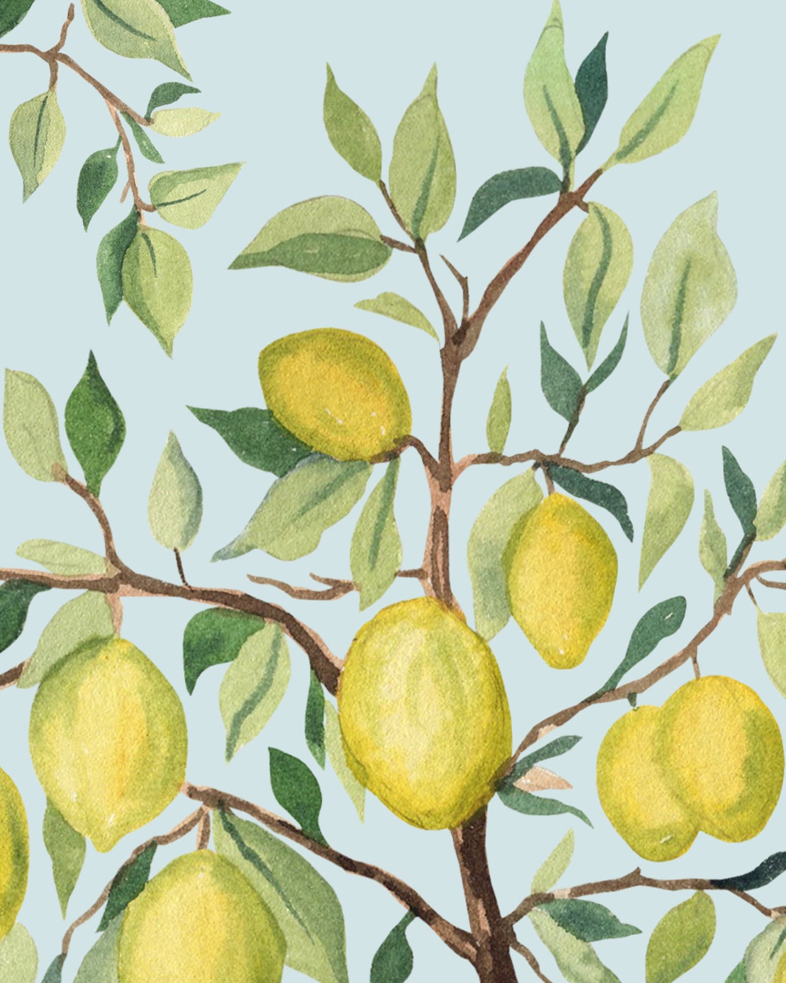 DIGITAL DOWNLOAD - Lemon Tree Illustrated Wall Print - Etsy