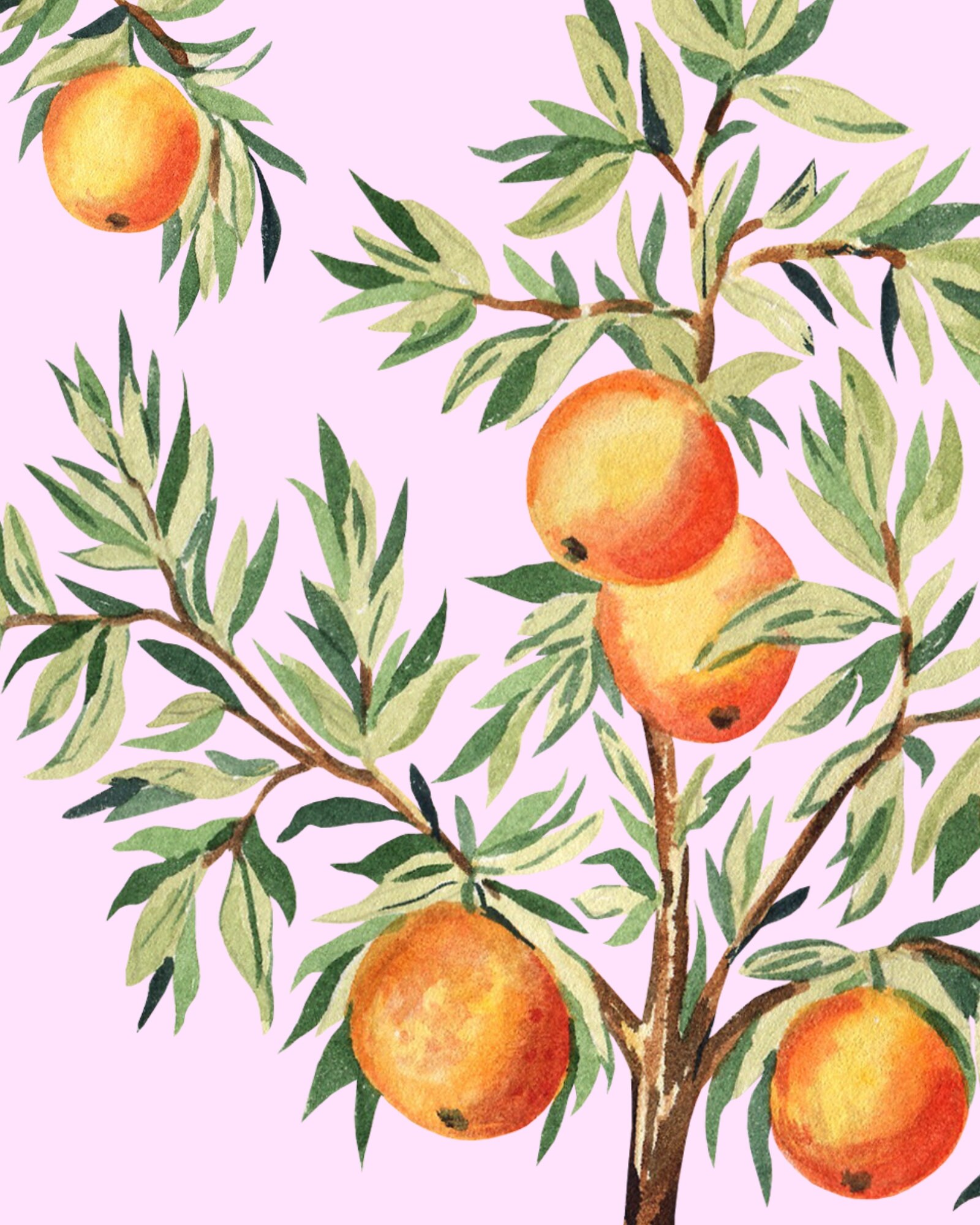 DIGITAL DOWNLOAD - Orange Tree Illustrated Wall Print - Etsy
