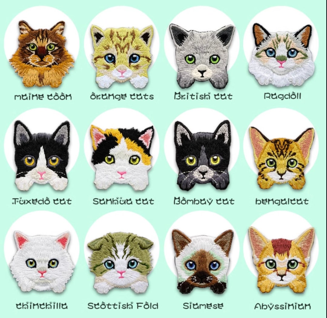 Siamese Cat Ragdoll Maine Coon the Jinjilla Cat Bombay Cat the Tuxedo Cat Bengal Ocelot Iron on ...