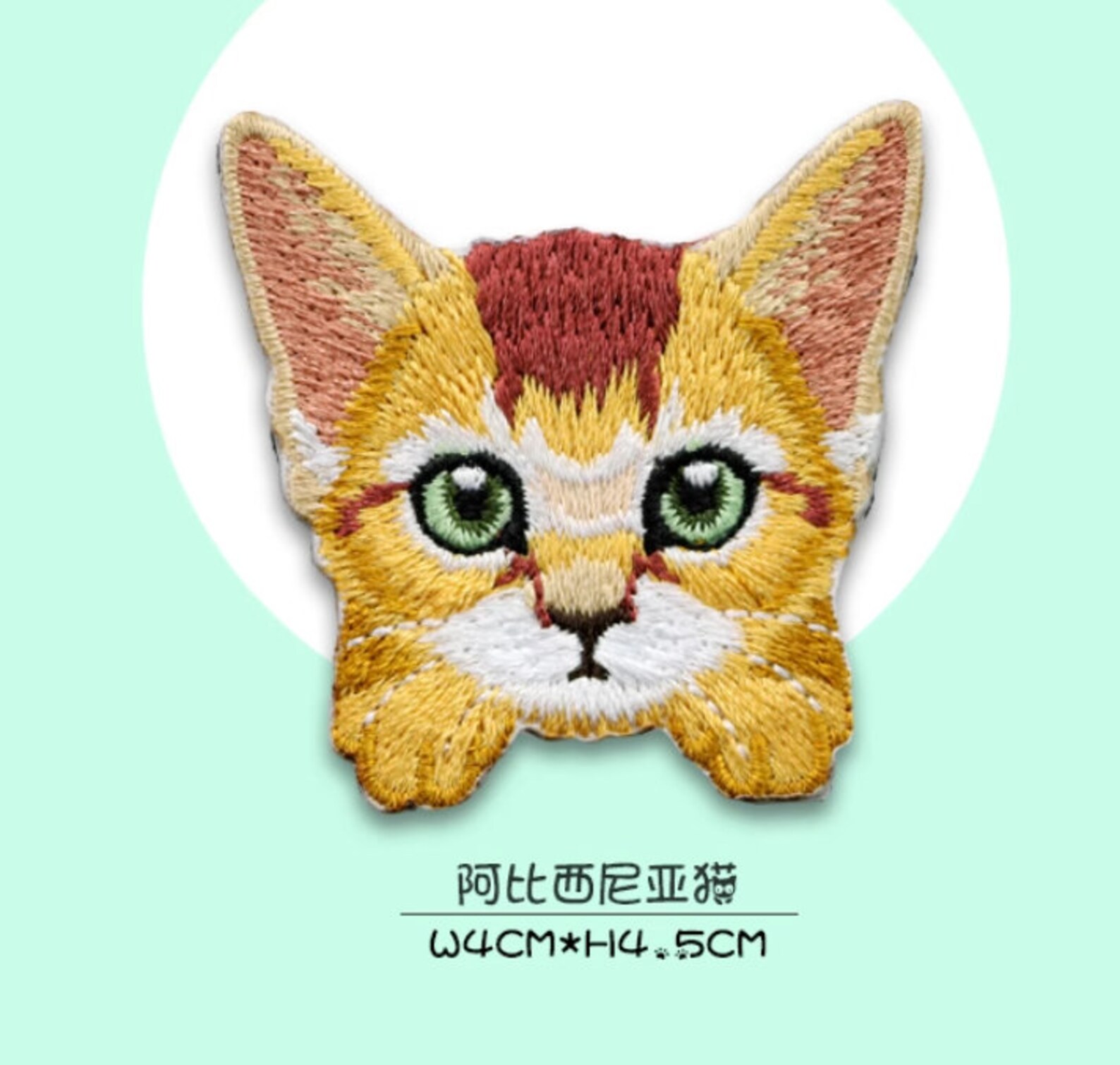 Siamese Cat Ragdoll Maine Coon the Jinjilla Cat Bombay Cat the Tuxedo Cat Bengal Ocelot Iron on ...