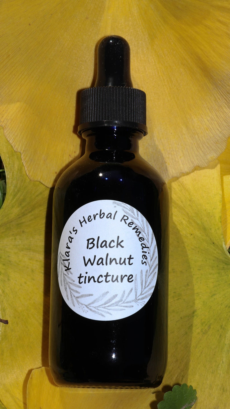 Black Walnut Tincture 2oz - Etsy