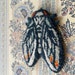 Tufted Wool Cicadas Bug Wall Hanging Nature-inspired Insect Decor ...