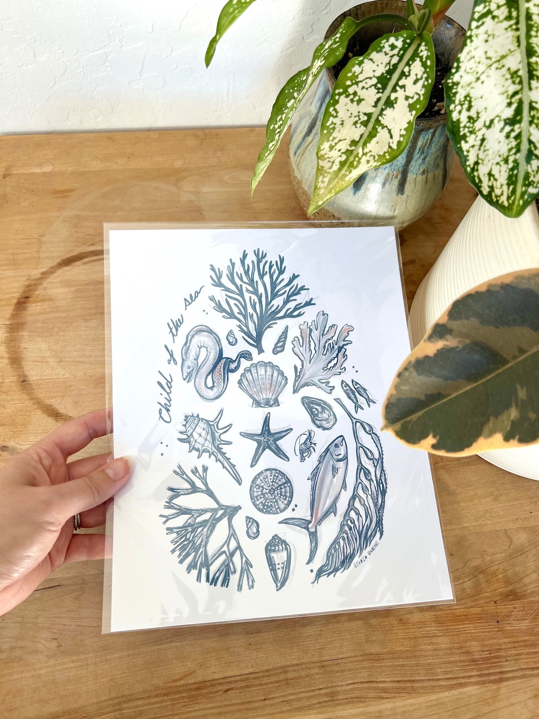 Navy Blue Shell Fish Seaweed Drawing Wall Art Ocean Vibes - Etsy