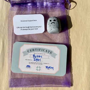 Emotional Support Rock | Polymer Clay | Pet Rock - Etsy