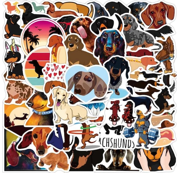 VSCO Sticker Pack Water Bottle Stickers 50 / 25 Pack Dachshund Stickers ...