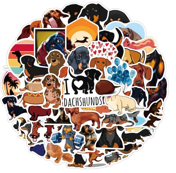 VSCO Sticker Pack Water Bottle Stickers 50 / 25 Pack Dachshund Stickers ...