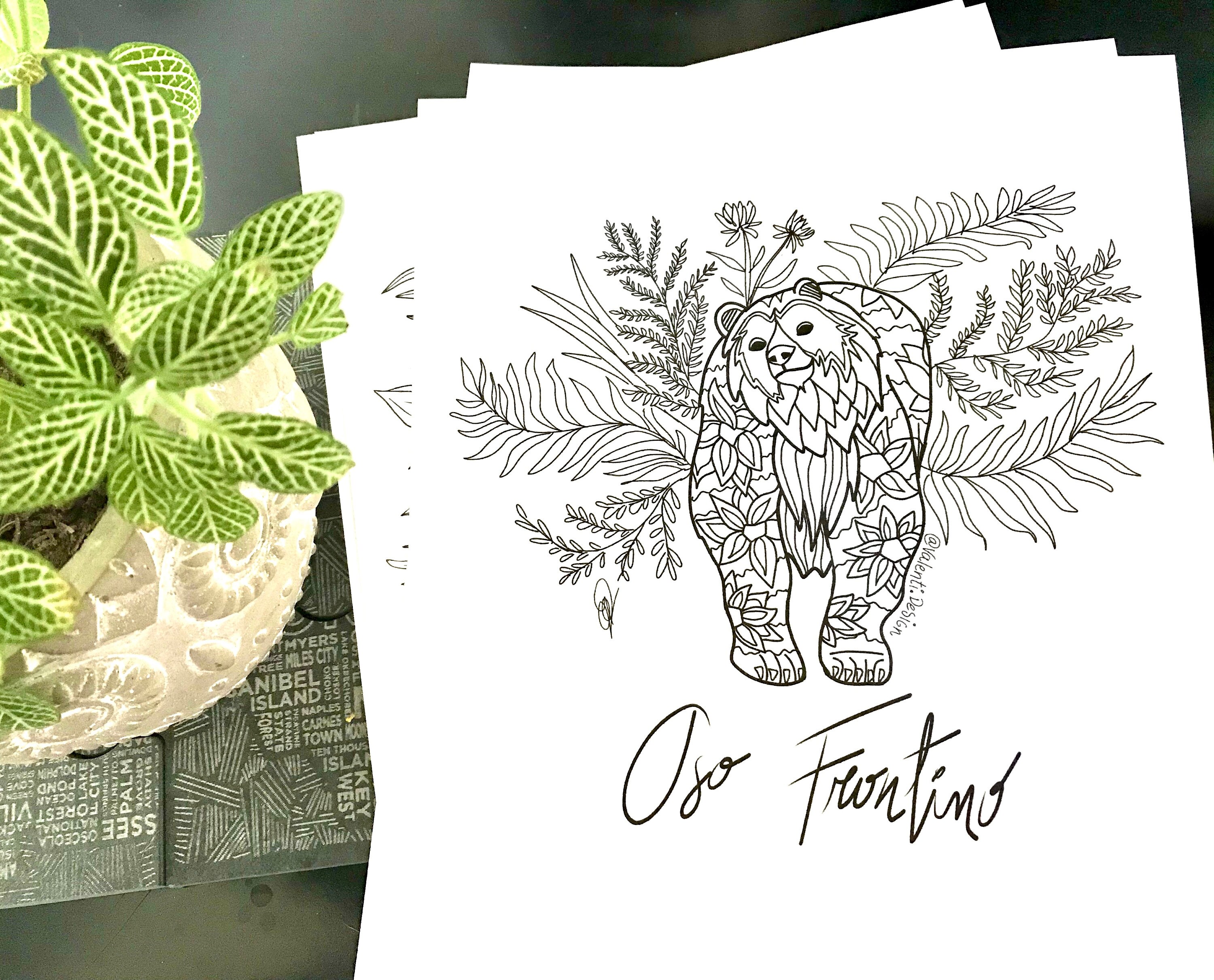Original Printable Illustrations of Venezuela Animals for - Etsy
