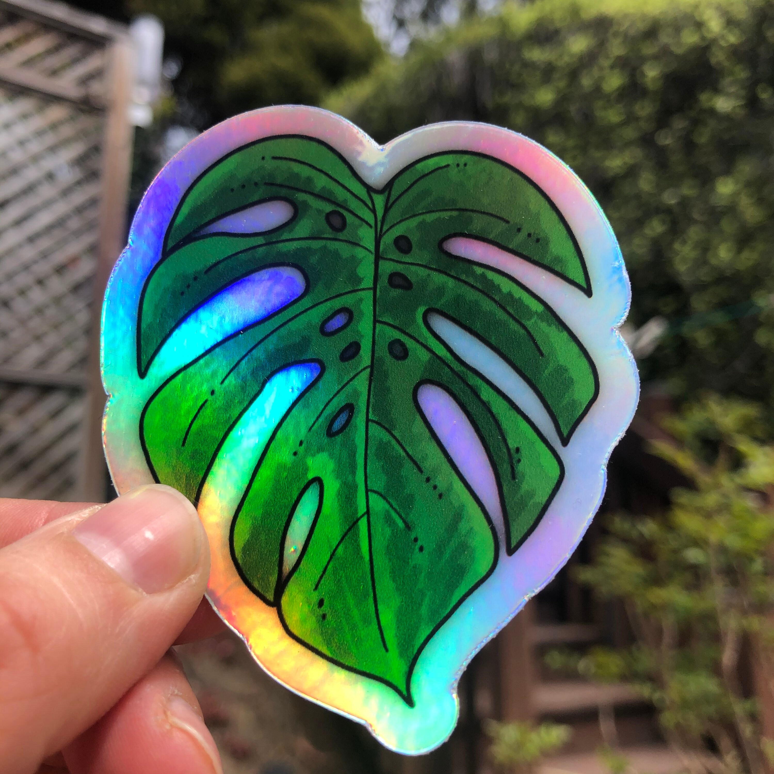 Monstera Leaf Sticker Holographic Sticker Plant Sticker | Etsy