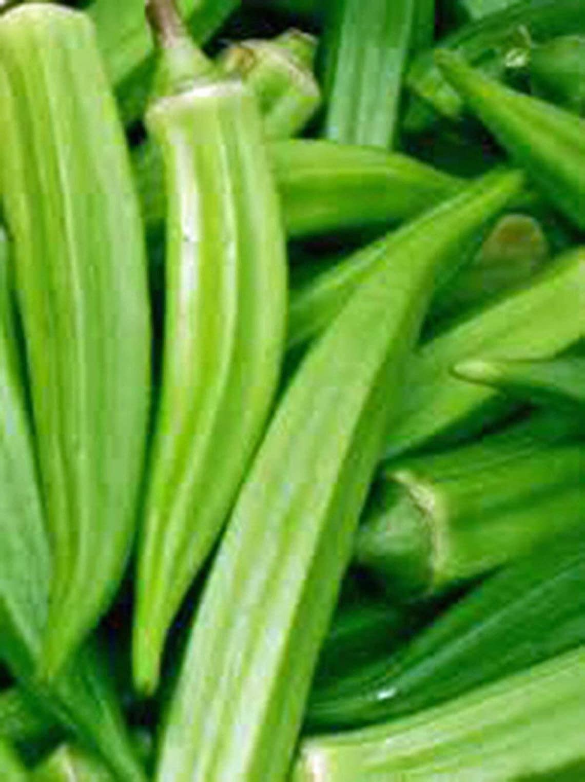 40+PERKINS DWARF OKRA Seeds Organic Non Gmo Open Pollenated Compact 4 ...