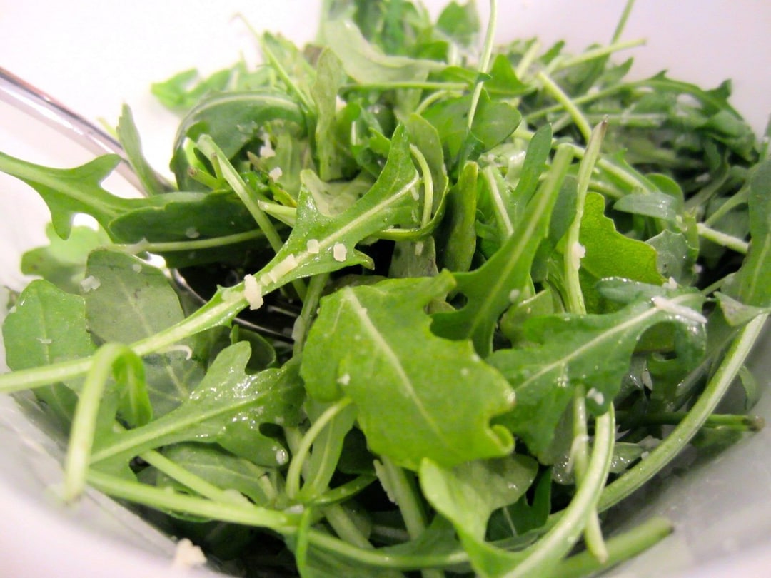 600+ARUGULA ROQUETTE LETTUCE Seeds Organic Heirloom Salad Greens Spring ...