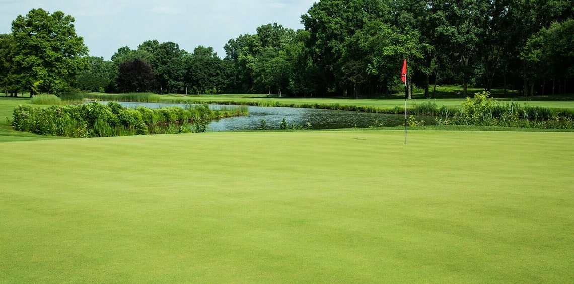 1 Oz Pure SELECT CREEPING BENTGRASS Seed Golf Putting Greens - Etsy