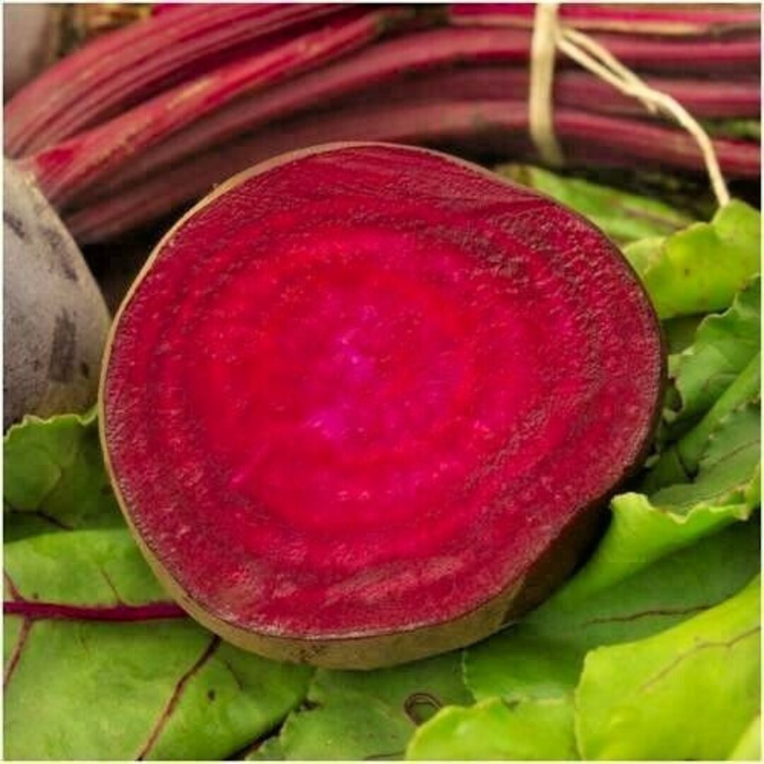 100 BULLS BLOOD BEET Seeds Heirloom Organic Summer Vegetable Garden ...
