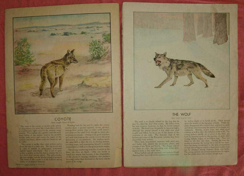 Vintage 1930 Children's Book Furry Friends by Ashbrook USDA - Etsy