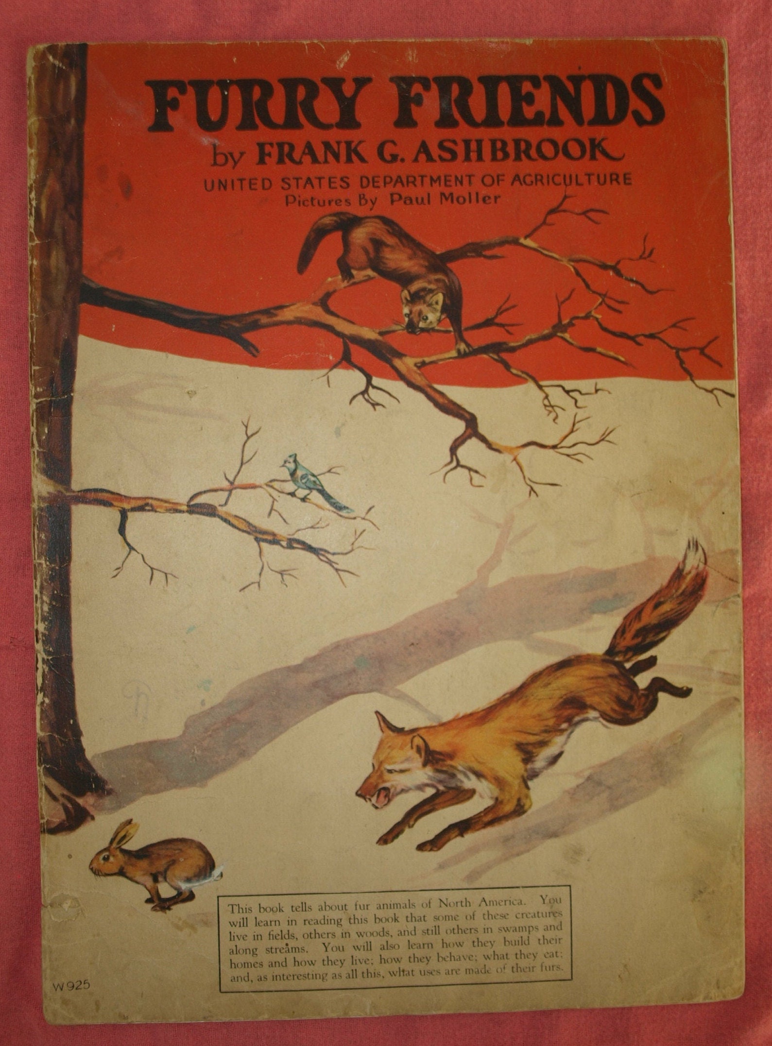 Vintage 1930 Children's Book Furry Friends by Ashbrook USDA - Etsy